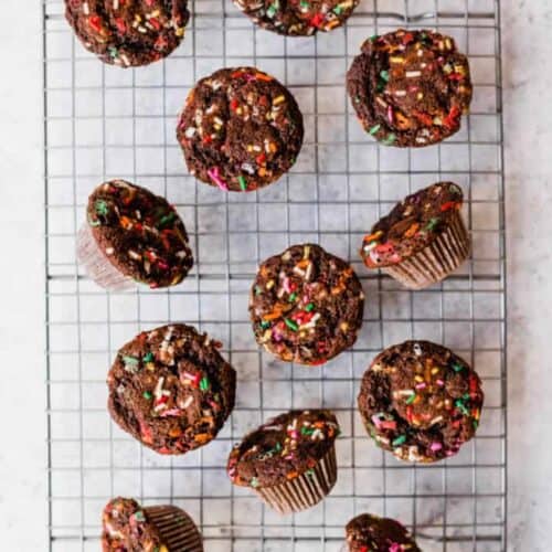 Chocolate Funfetti Mini Muffins | Well Seasoned Studio
