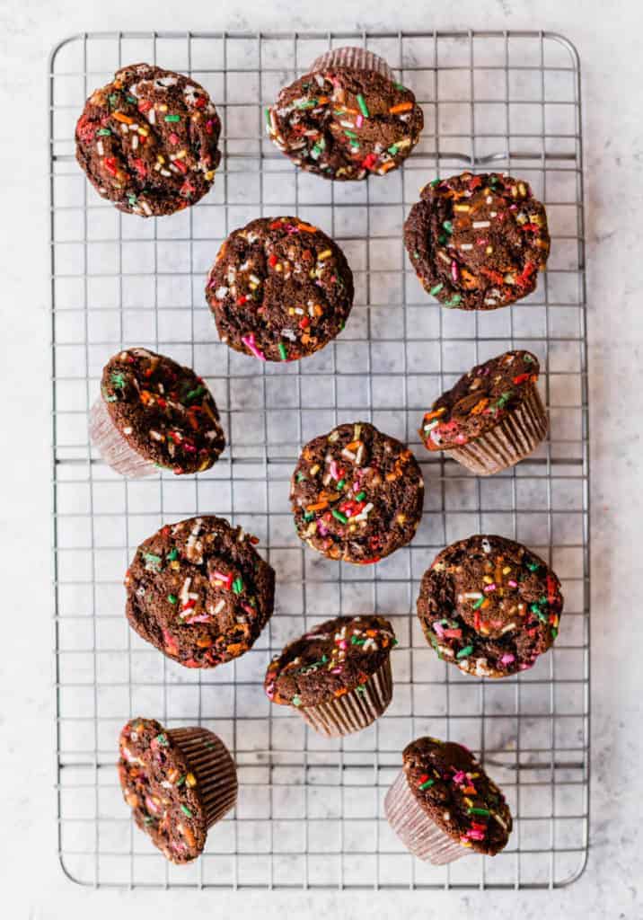 Chocolate Funfetti Mini Muffins | Well Seasoned Studio