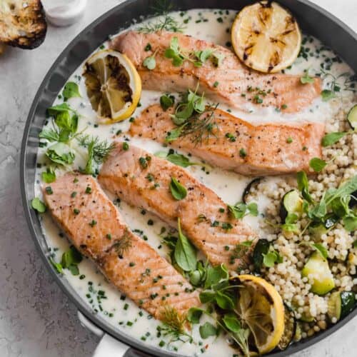 The Different Salmon Species Explained - Well Seasoned Studio