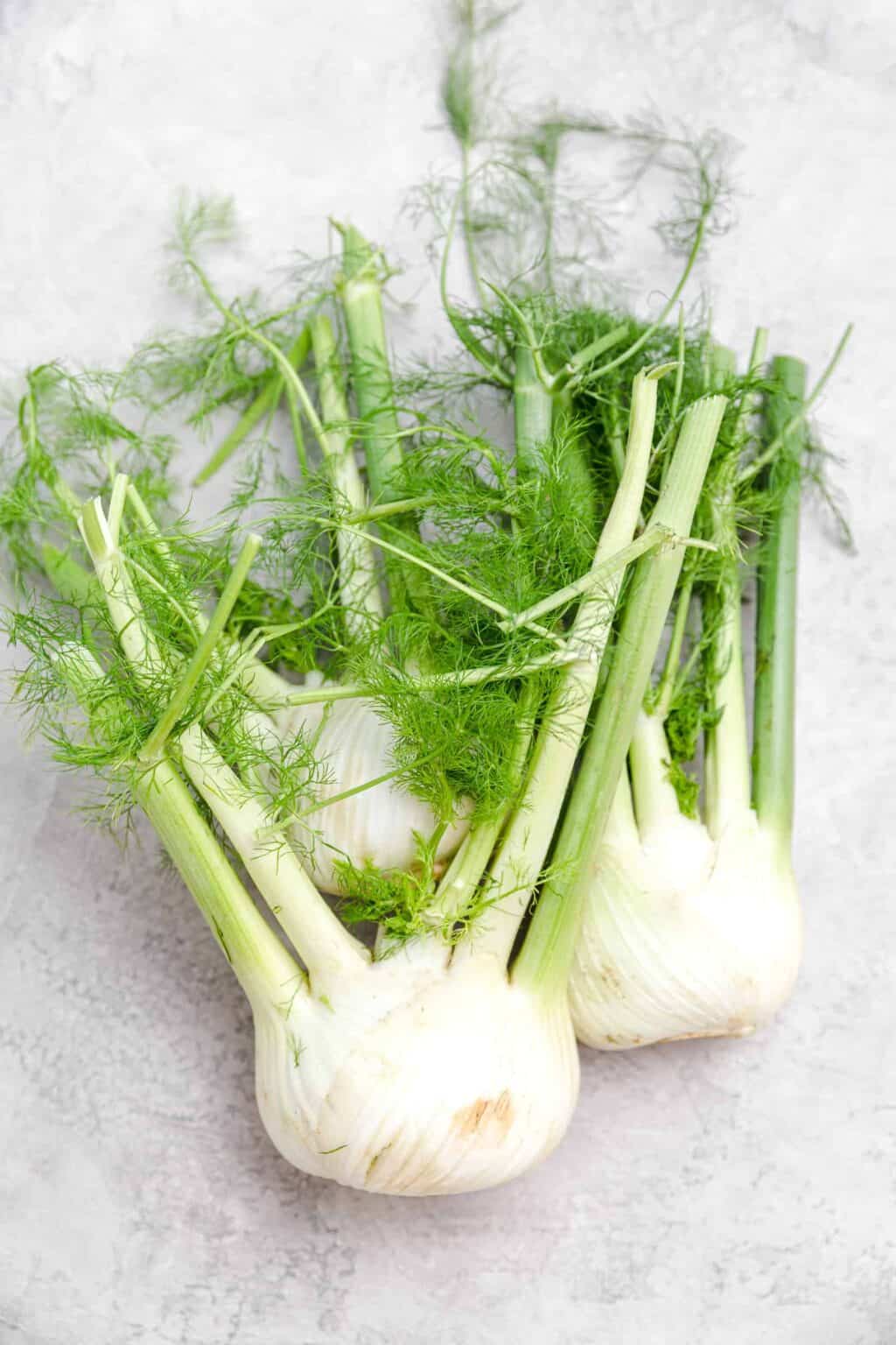 Tender, Sweet Roasted Fennel with Parmesan - Well Seasoned Studio