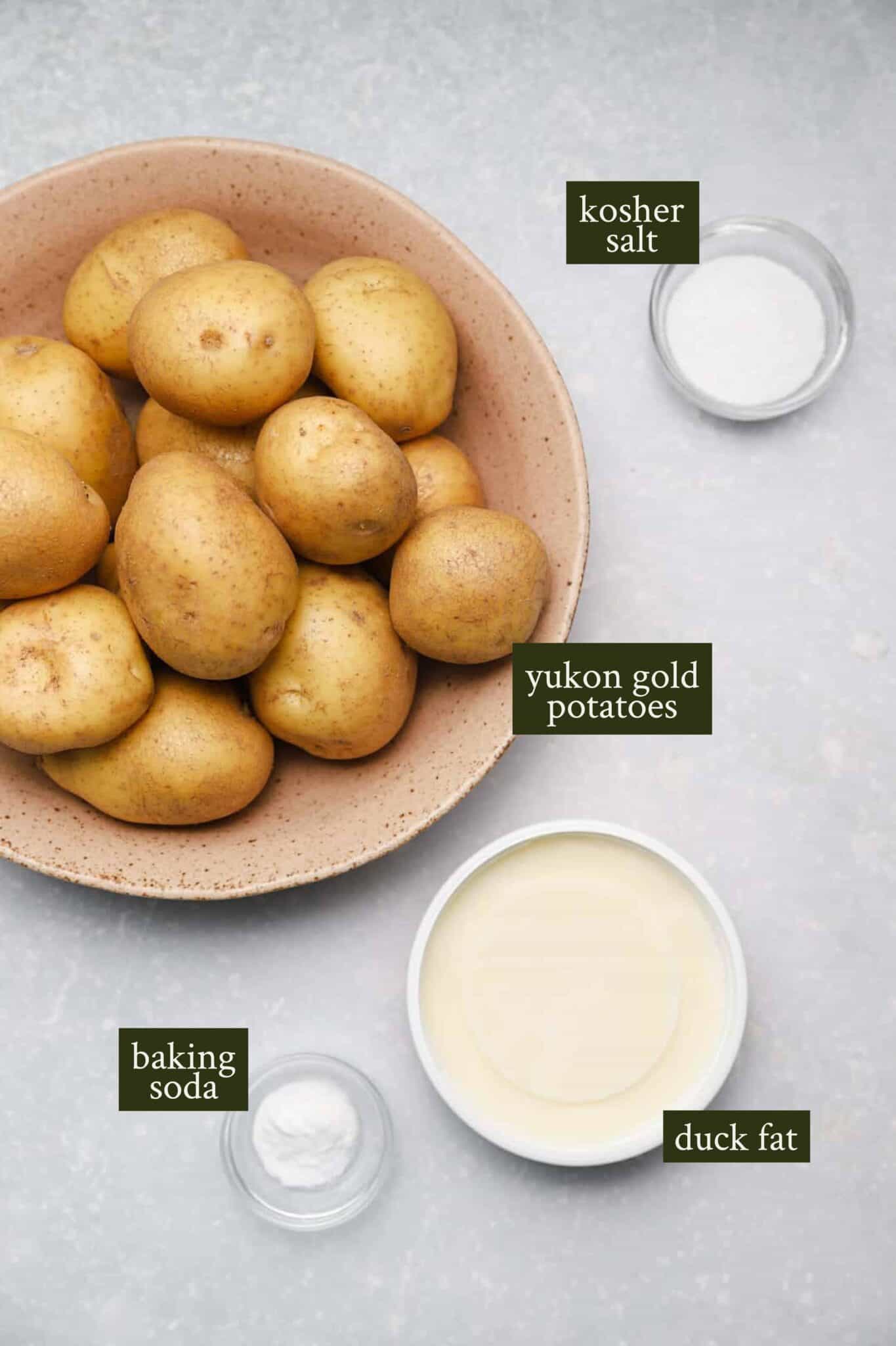 Ultra Crispy Roasted Duck Fat Potatoes - Well Seasoned Studio