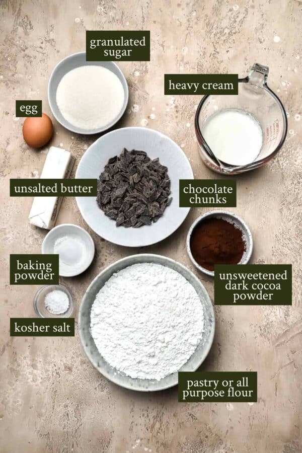 Double Chocolate Scones with Vanilla Bean Glaze - Well Seasoned Studio