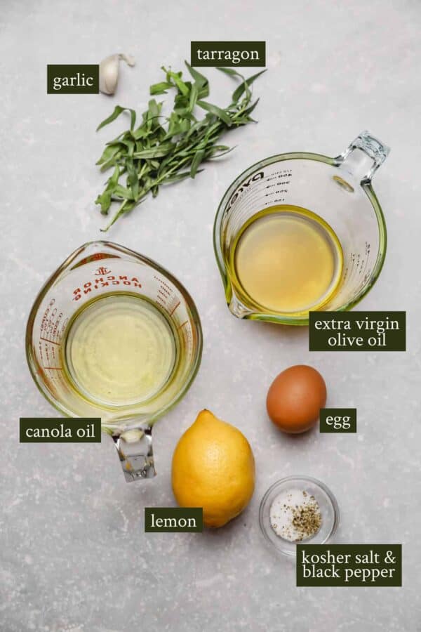 Easy Homemade Aioli (5 Minutes, 5 Ingredients!) - Well Seasoned Studio