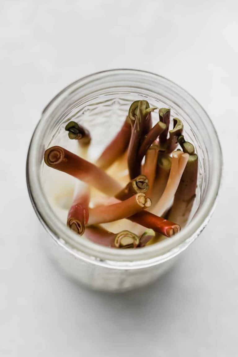 Quick Pickled Ramps (Add Them To Everything! - Well Seasoned Studio