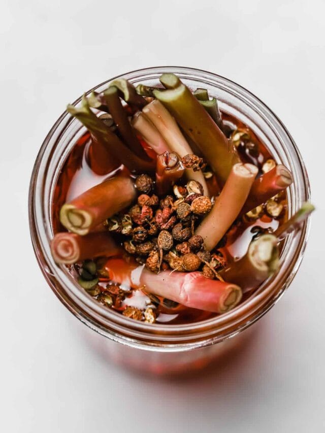 Quick Pickled Ramps - Well Seasoned Studio
