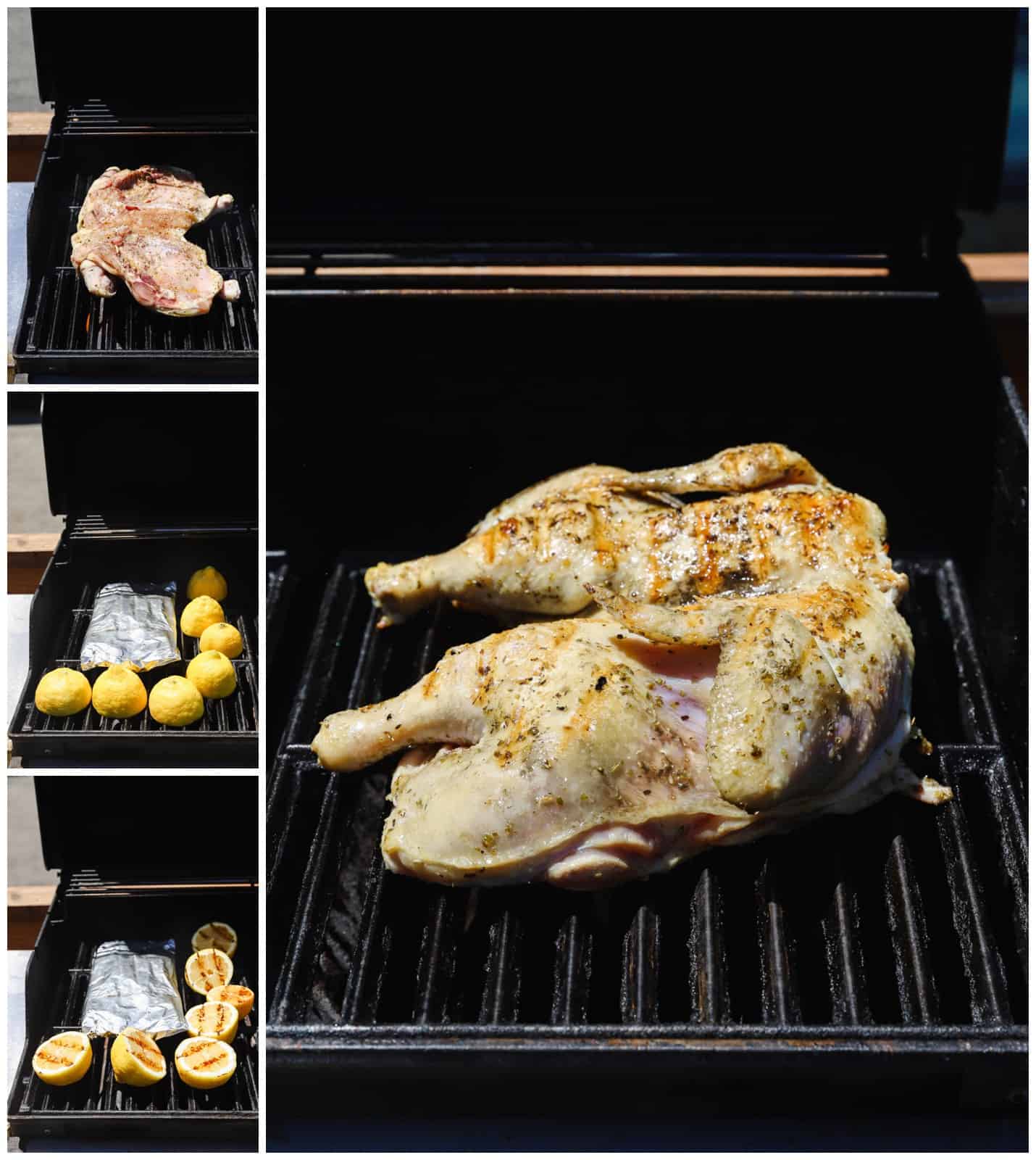 Grilled Spatchcock Chicken With Lemon & Oregano - Well Seasoned Studio