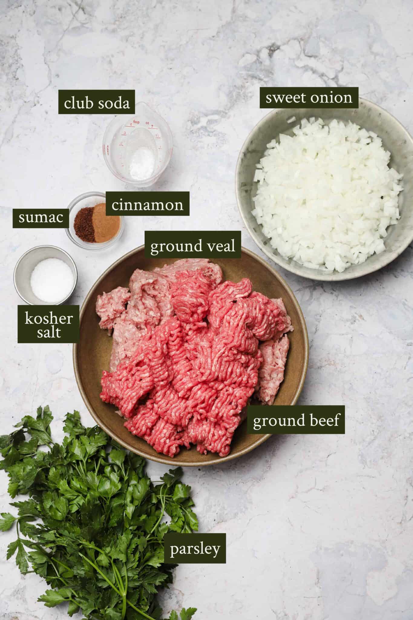 Grilled Ground Beef Kebab Skewers (Kofta-Style) - Well Seasoned Studio
