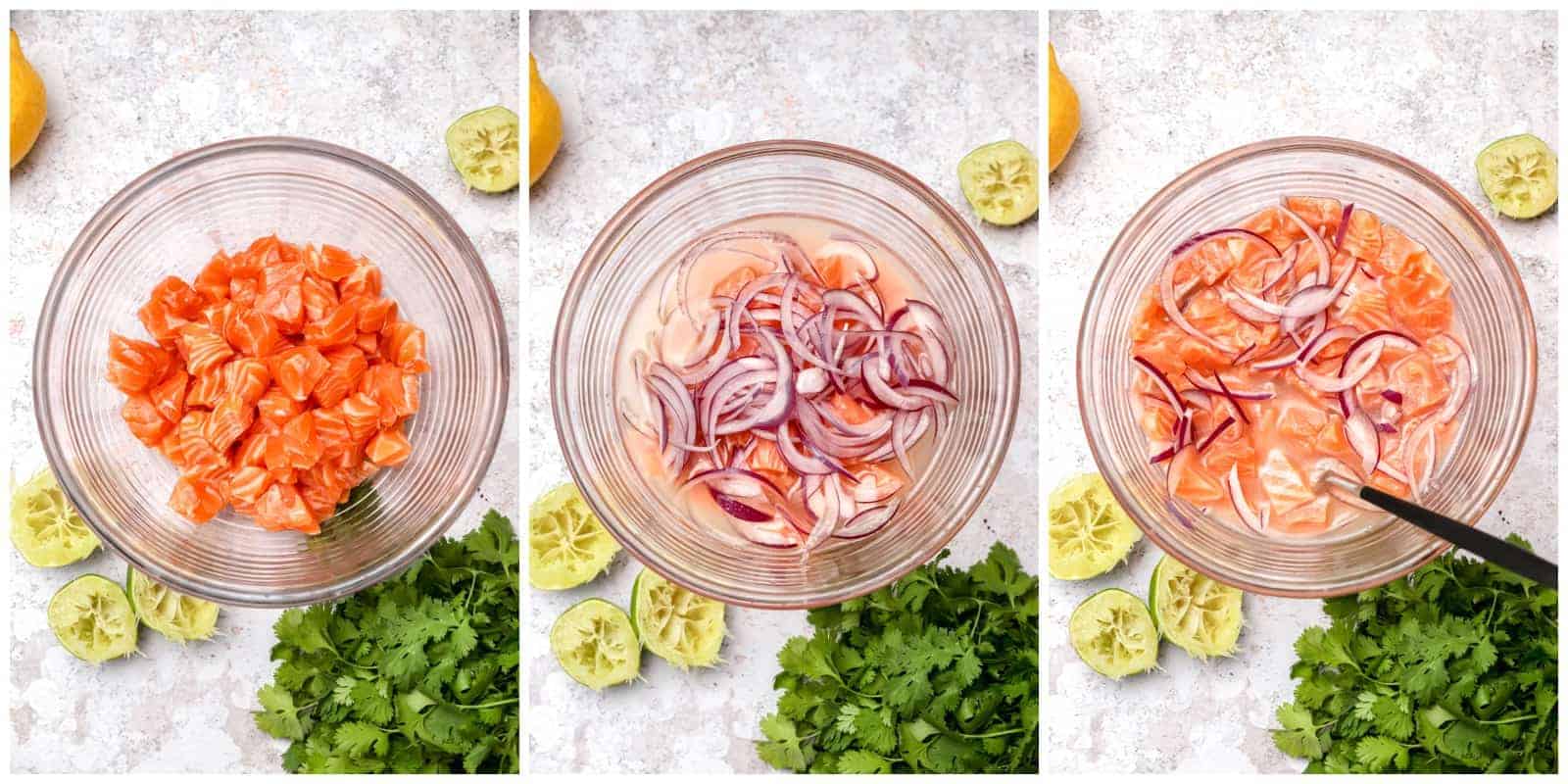 Light, Refreshing Peruvian-Style Salmon Ceviche - Well Seasoned Studio
