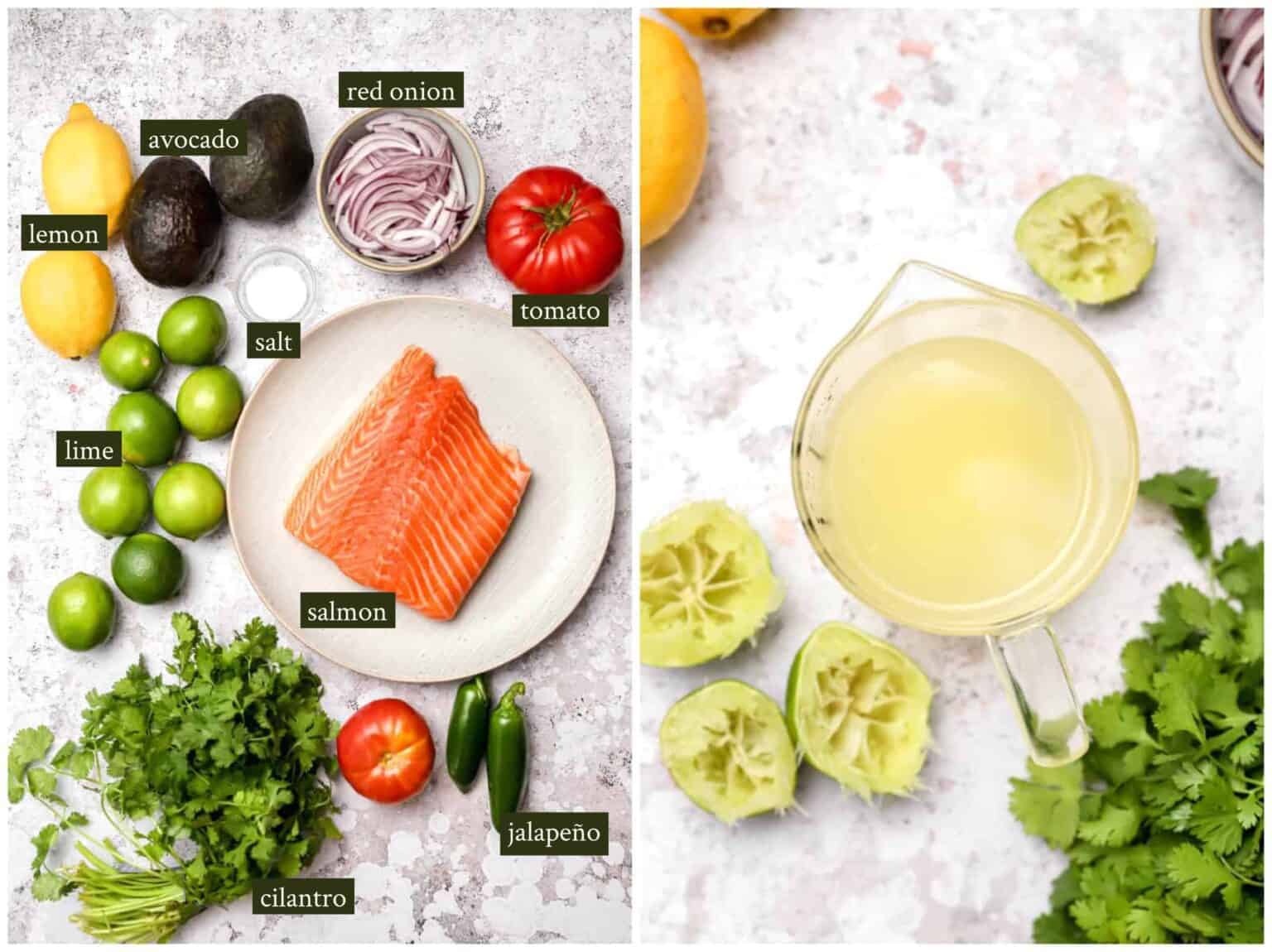 Light, Refreshing Peruvian-Style Salmon Ceviche - Well Seasoned Studio