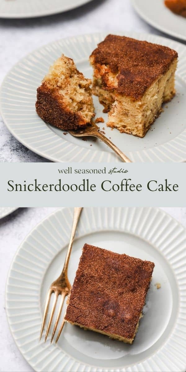 Snickerdoodle Coffee Cake - Well Seasoned Studio