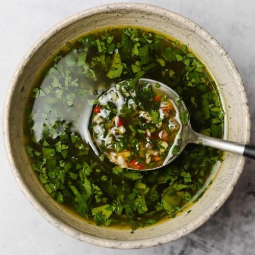 Cilantro Chimichurri (For Grilled Meats + Seafood) - Well Seasoned Studio
