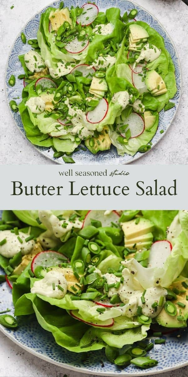 Butter Lettuce Salad {Creamy Avocado Dressing} - Well Seasoned Studio