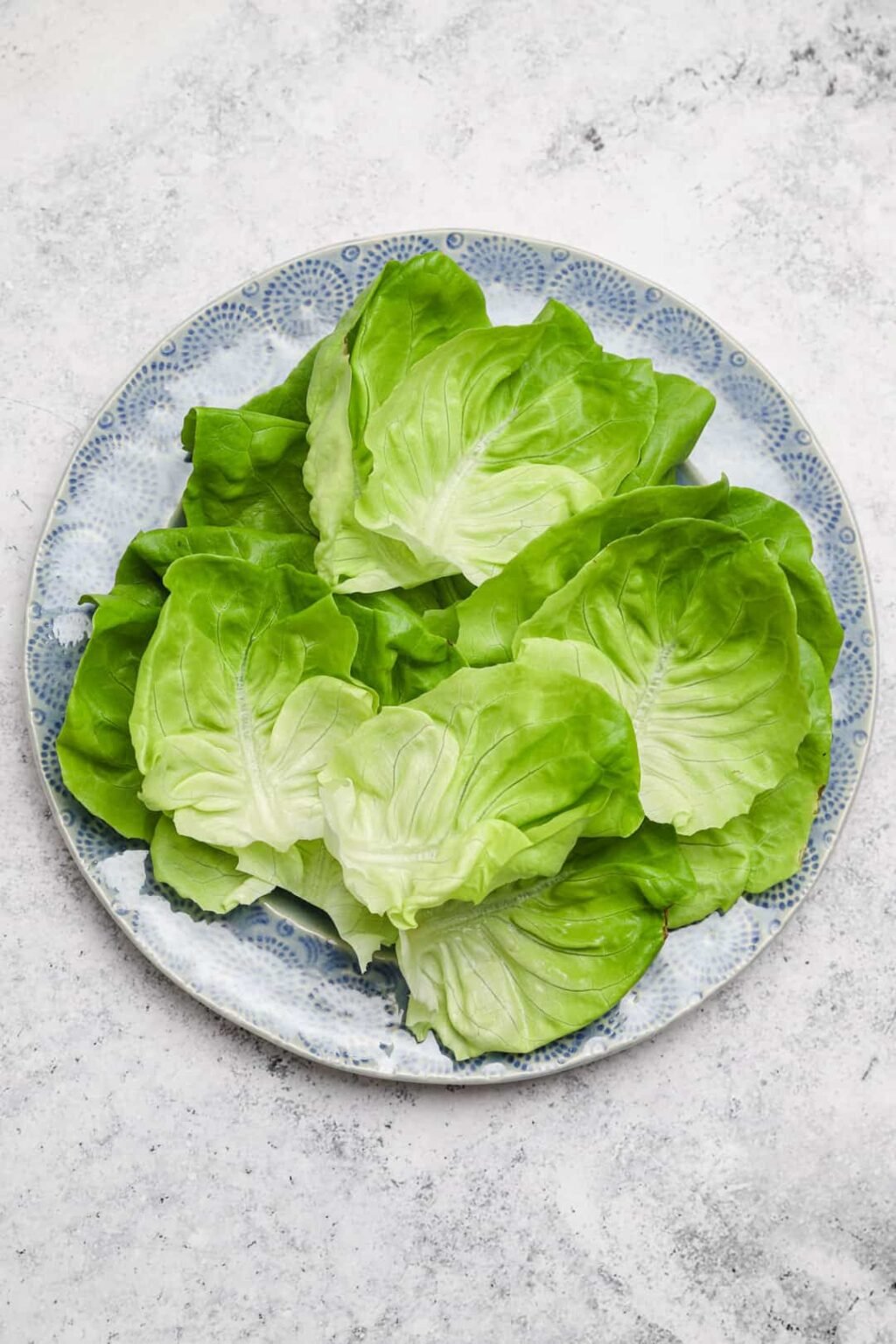 10-Minute No-Cook Butter Lettuce Salad - Well Seasoned Studio