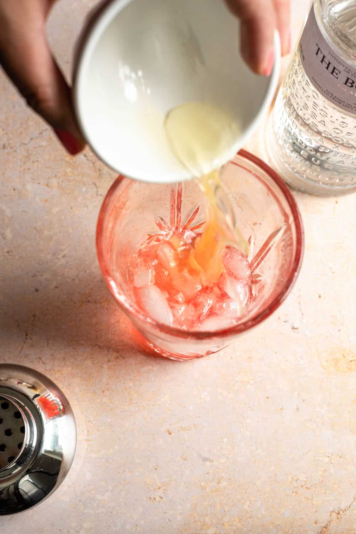 Campari Gin Fizz + Campari Gin Sour - Well Seasoned Studio