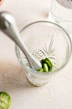 Light & Fresh Cucumber Martini Recipe - Well Seasoned Studio