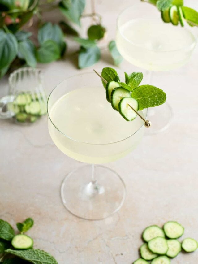Cucumber Martini - Well Seasoned Studio