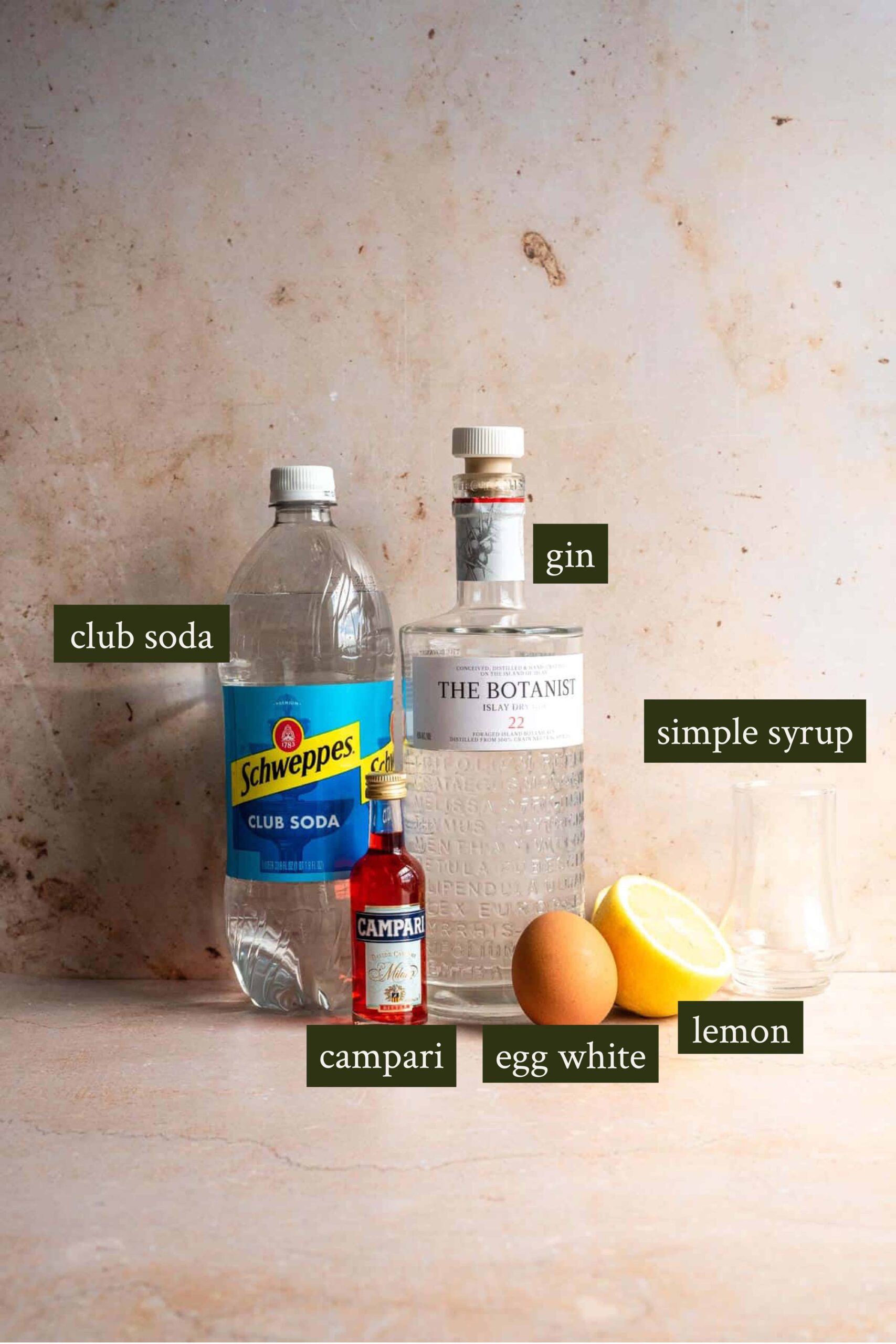 Campari Gin Fizz + Campari Gin Sour - Well Seasoned Studio