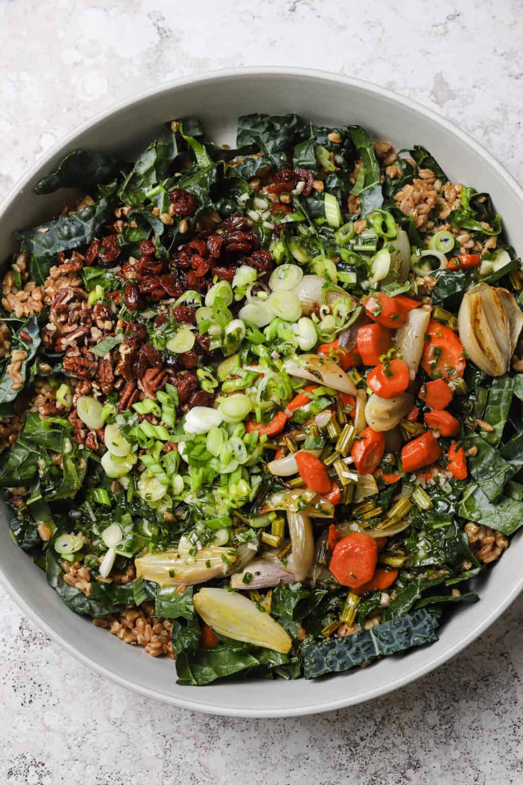 Well Seasoned Studio | Elevated Recipes with Minimal Effort!