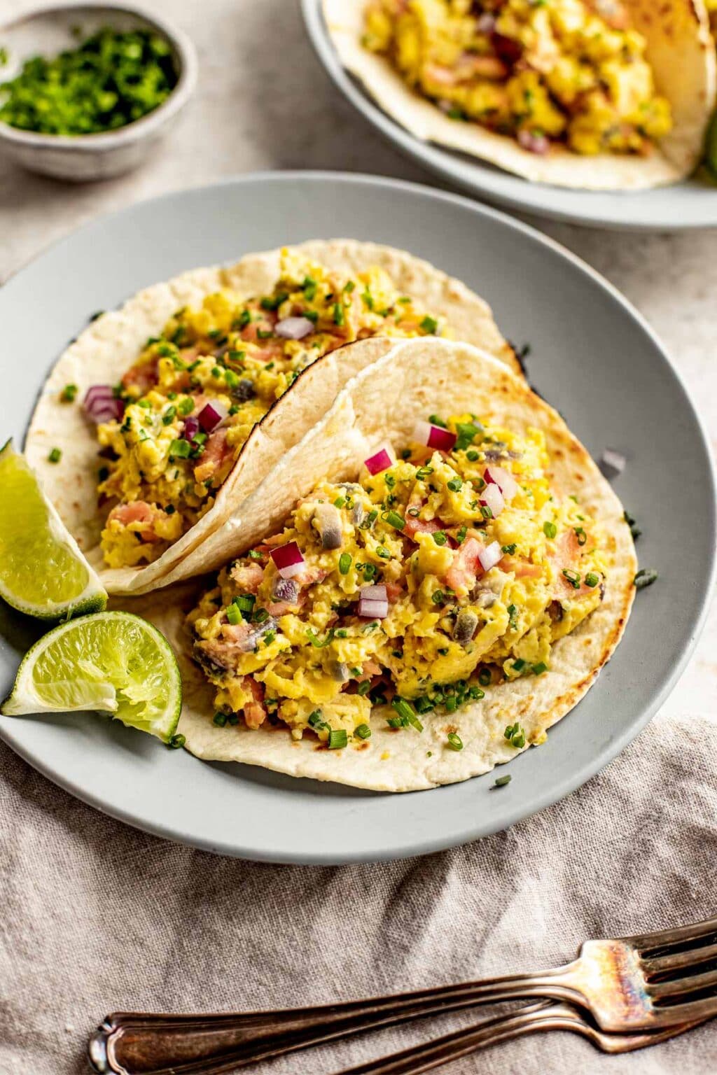 The Different Salmon Species Explained - Well Seasoned Studio