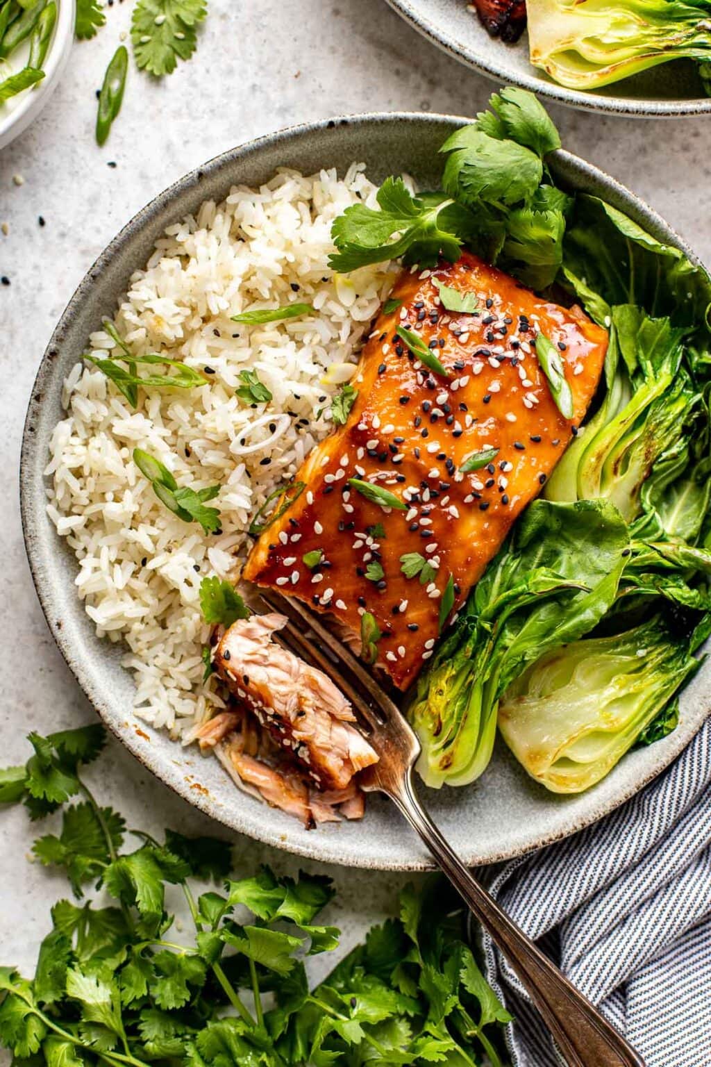 The Different Salmon Species Explained - Well Seasoned Studio