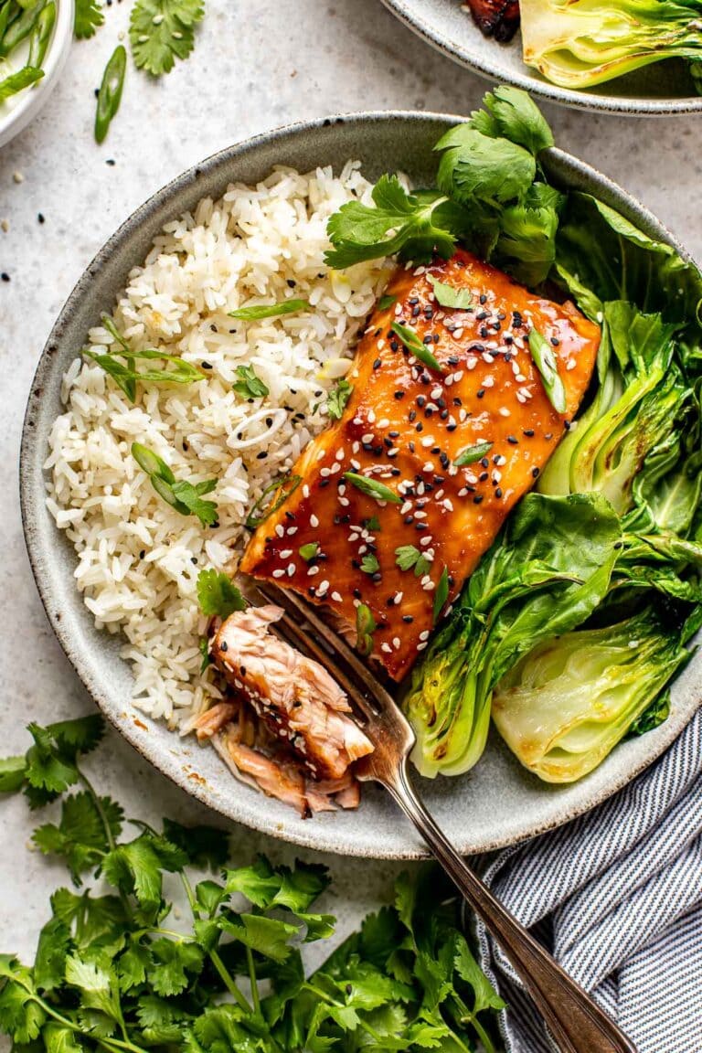 The Different Salmon Species Explained - Well Seasoned Studio