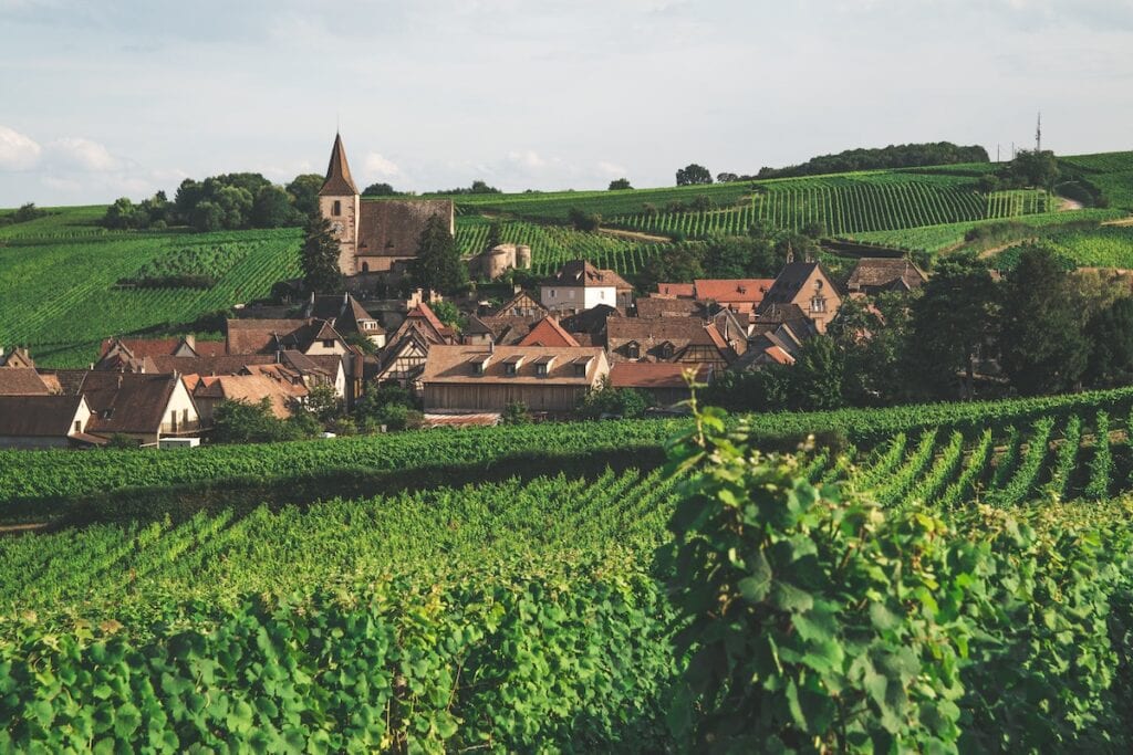 The Comprehensive Guide to Riesling - Well Seasoned Studio