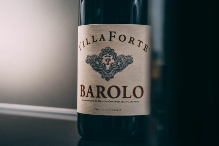 The Comprehensive Guide To Nebbiolo - Well Seasoned Studio