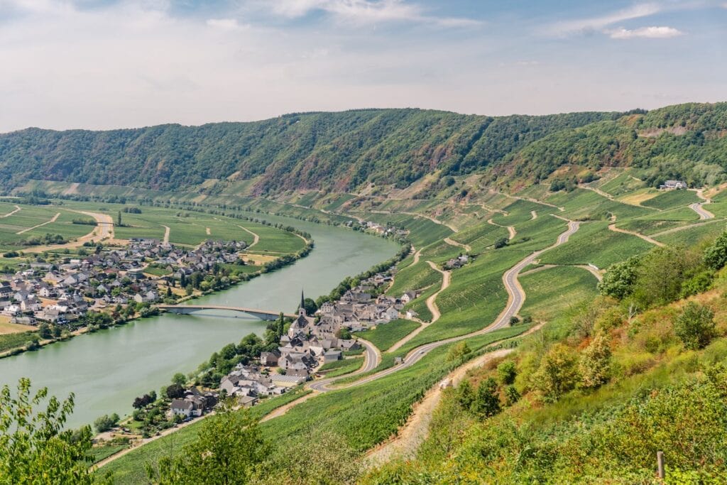 The Comprehensive Guide to Riesling - Well Seasoned Studio