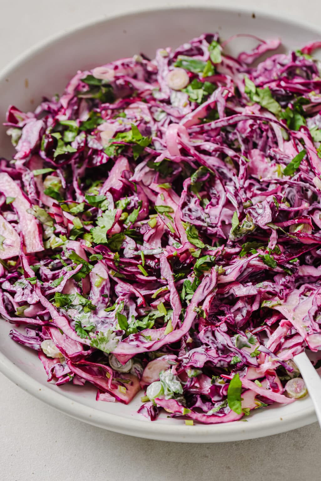 Crunchy Red Cabbage Slaw (For Fish Tacos!) - Well Seasoned Studio