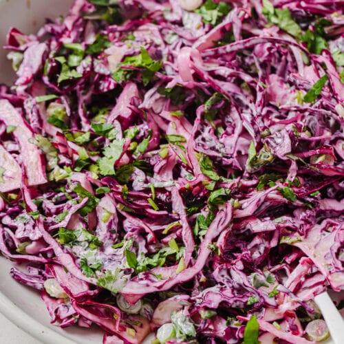 Crunchy Red Cabbage Slaw (For Fish Tacos!) - Well Seasoned Studio