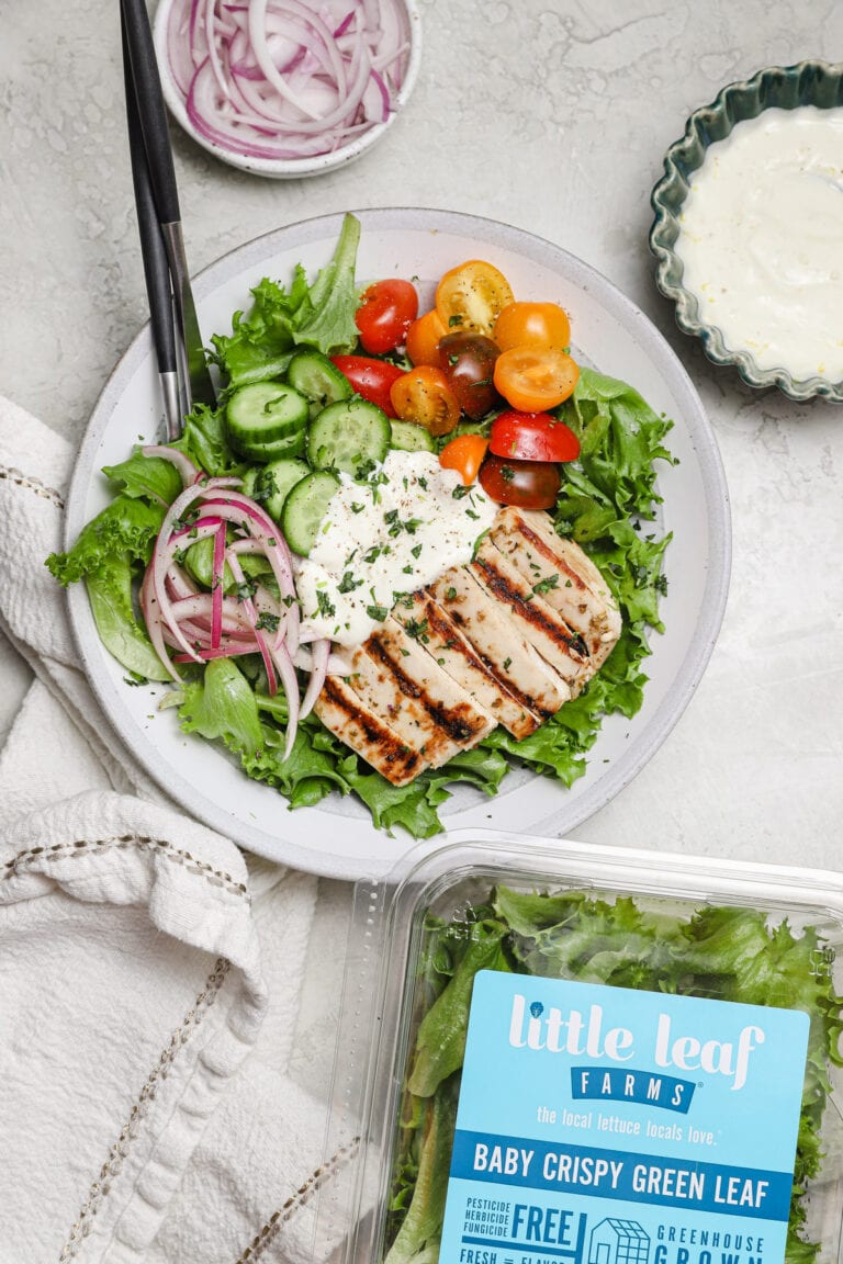 Tender, Juicy Grilled Chicken Salad - Well Seasoned Studio