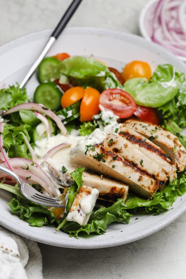 Tender, Juicy Grilled Chicken Salad - Well Seasoned Studio
