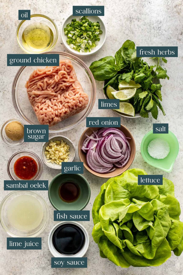 20-Minute Laotian Chicken Larb (Larb Gai) - Well Seasoned Studio