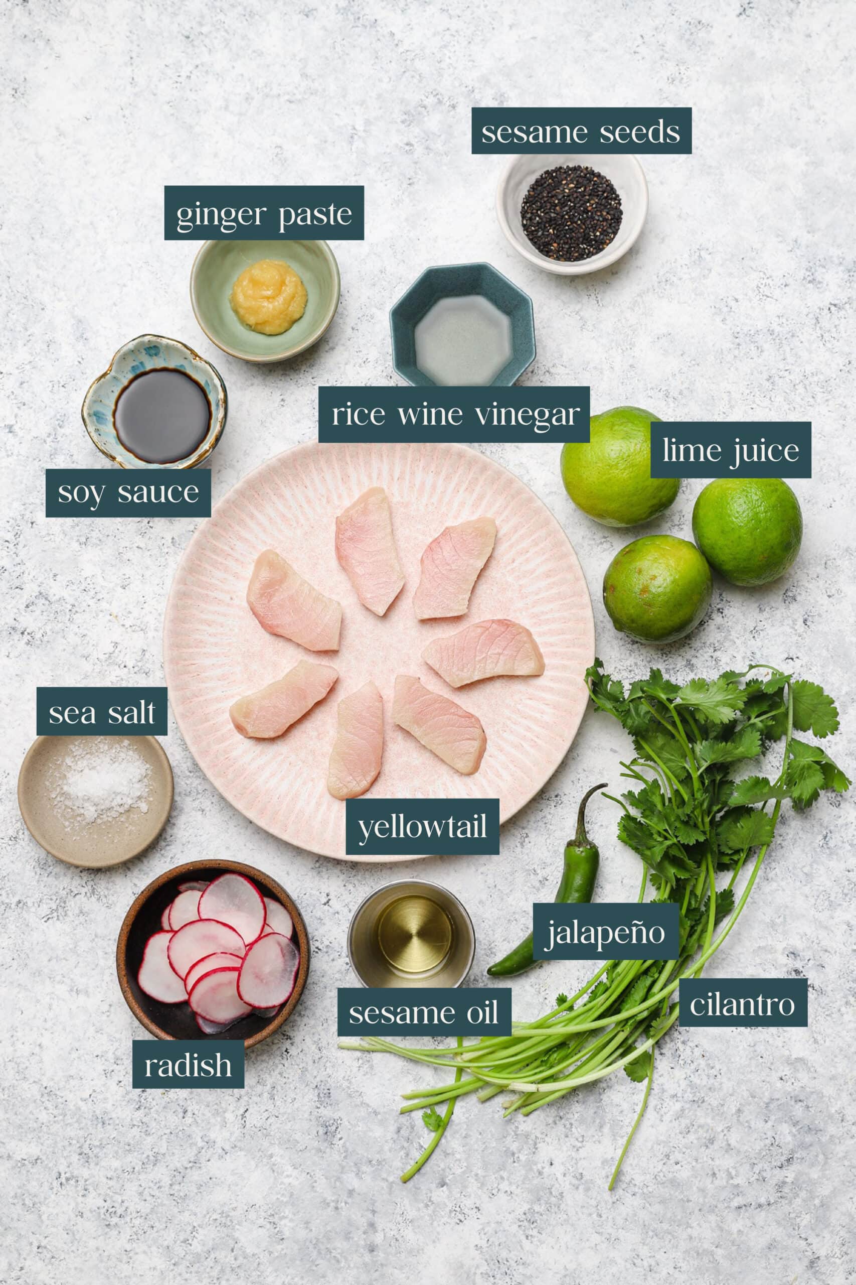 Buttery Hamachi Crudo with Soy Ginger Marinade - Well Seasoned Studio