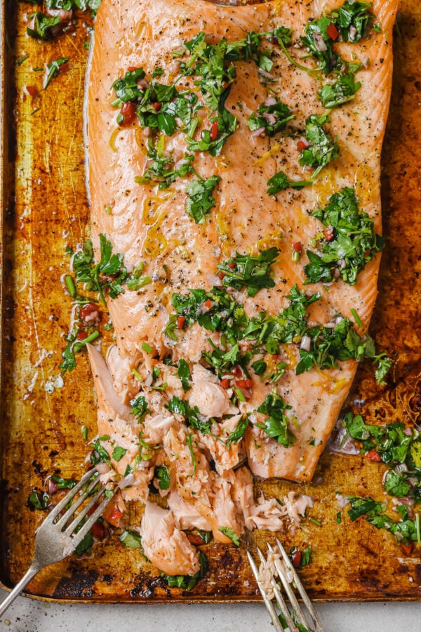 How To Roast Salmon (Quick & Flaky!) - Well Seasoned Studio