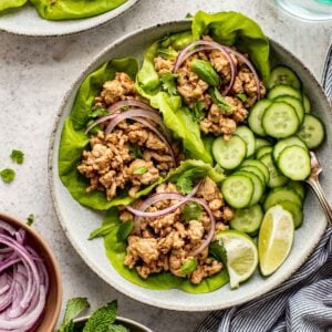 20-Minute Laotian Chicken Larb (Larb Gai) - Well Seasoned Studio