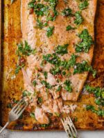 The Different Salmon Species Explained - Well Seasoned Studio