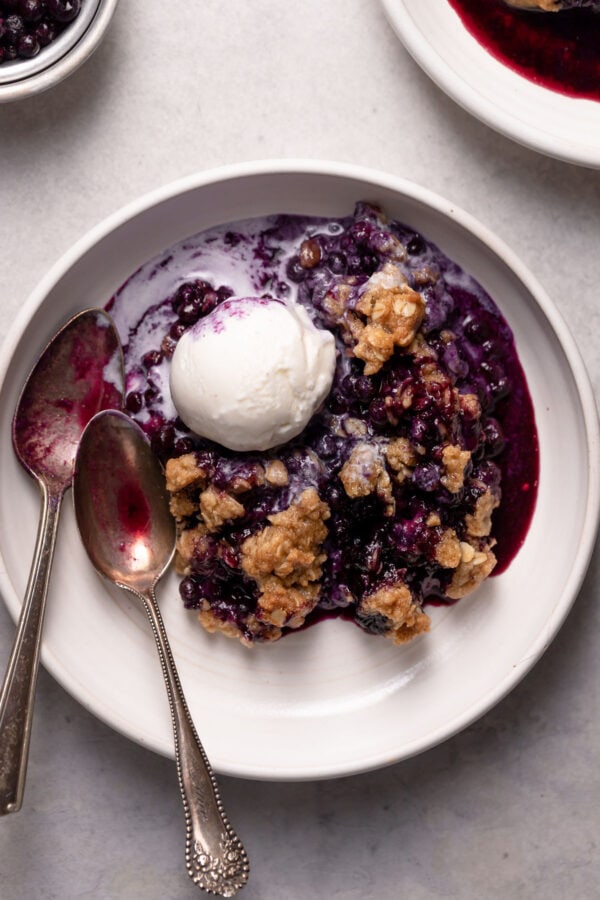 Warm Blueberry Crisp (Fresh or Frozen Blueberries) - Well Seasoned Studio