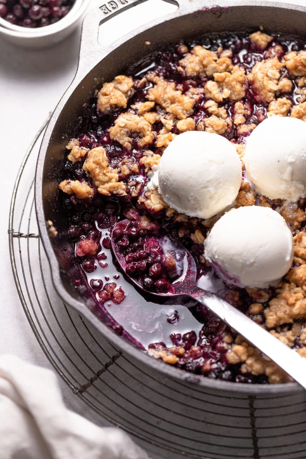 Warm Blueberry Crisp (Fresh or Frozen Blueberries) - Well Seasoned Studio