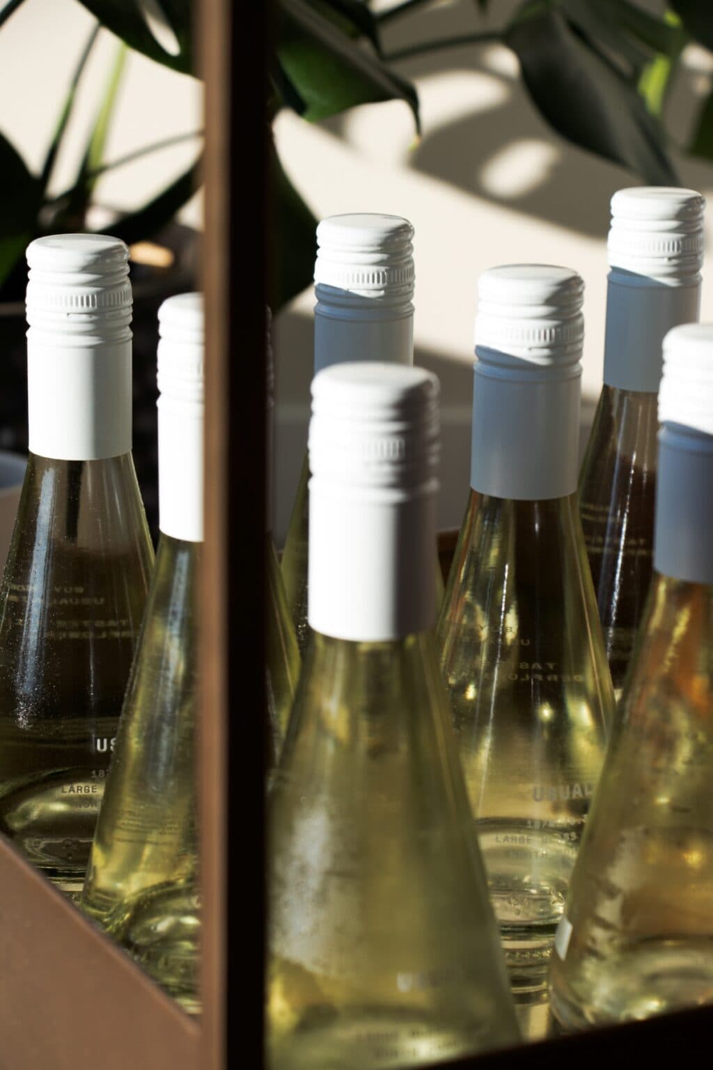 The Comprehensive Guide to Sauvignon Blanc - Well Seasoned Studio
