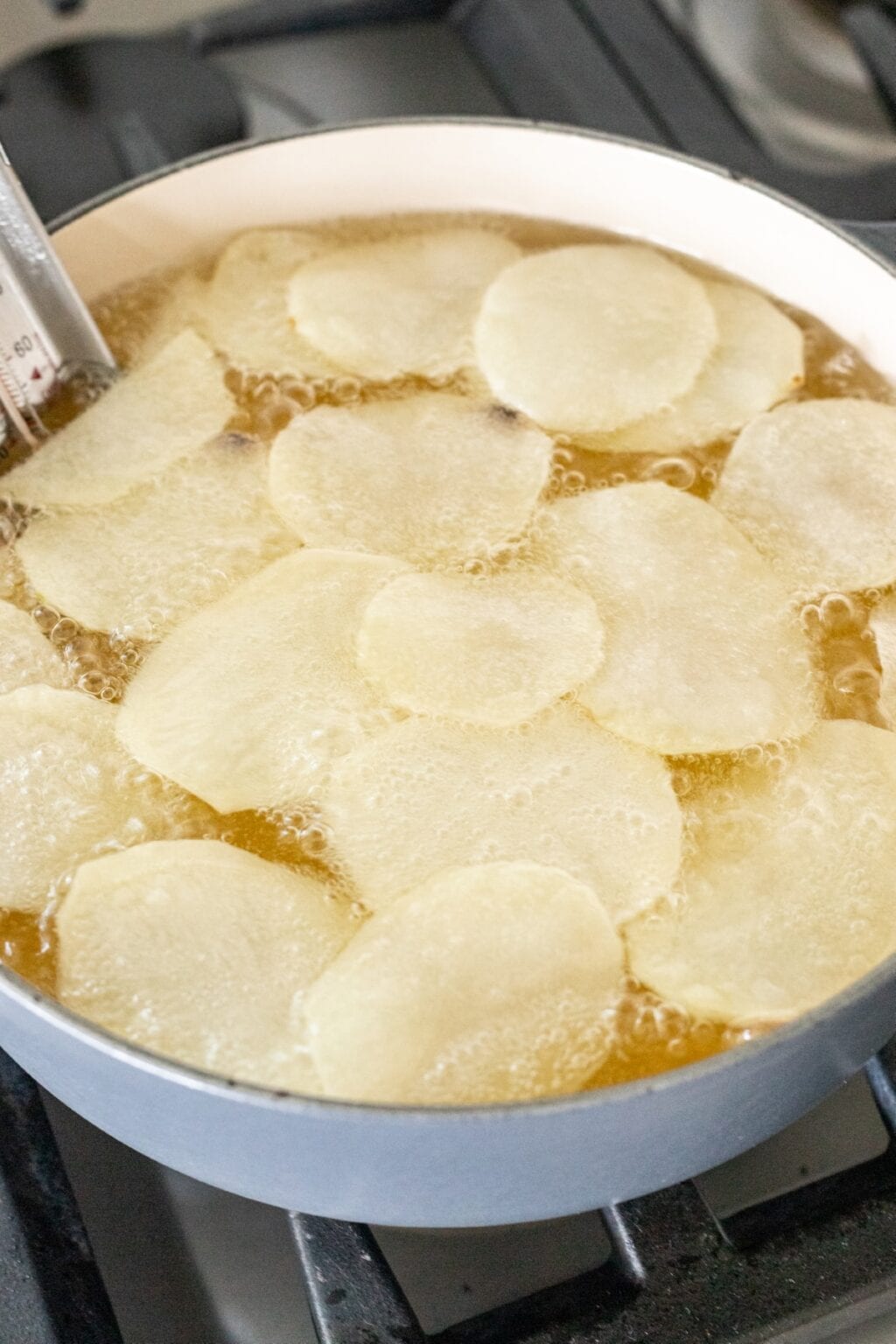 Thin & Crispy Homemade Potato Chips - Well Seasoned Studio