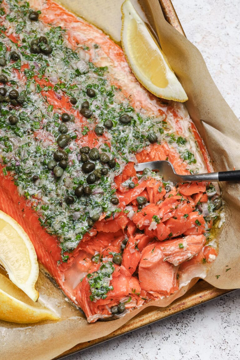 The Different Salmon Species Explained - Well Seasoned Studio
