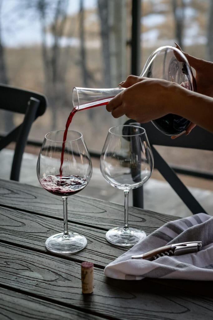 The Comprehensive Guide to Malbec - Well Seasoned Studio