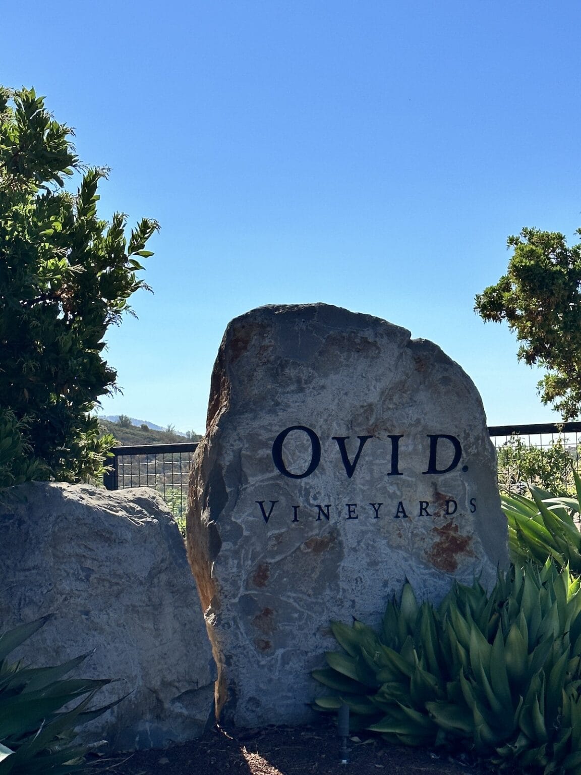 Our First Trip To Napa! - Well Seasoned Studio