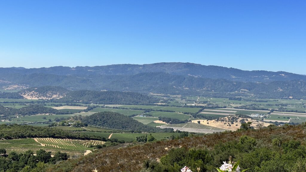 Our First Trip To Napa! - Well Seasoned Studio