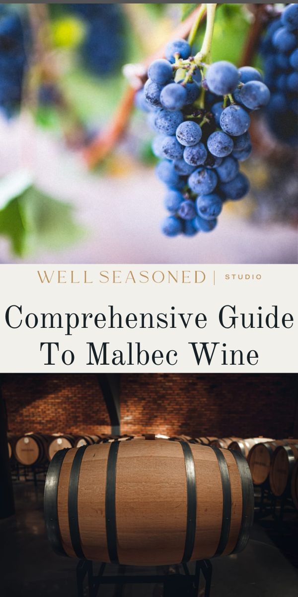The Comprehensive Guide to Malbec - Well Seasoned Studio