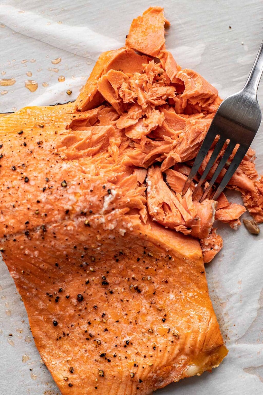 Crispy Pan Fried Salmon Croquettes (with Fresh Salmon) - Well Seasoned ...