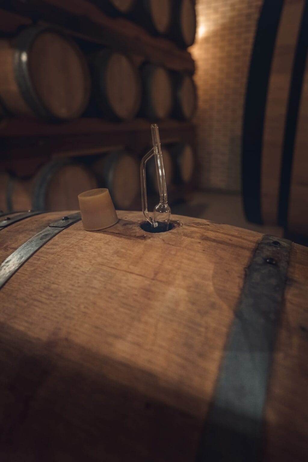 Does Wine Expire? - Well Seasoned Studio
