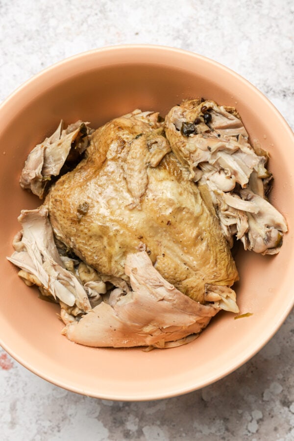 Rich, Flavorful Homemade Chicken Broth - Well Seasoned Studio