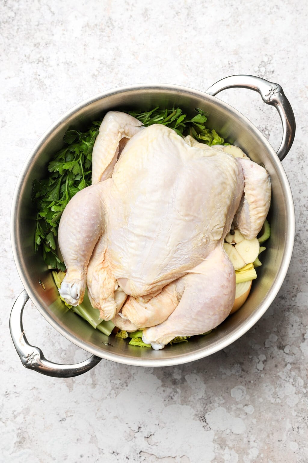 Rich, Flavorful Homemade Chicken Broth - Well Seasoned Studio